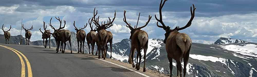 Rut Run 5K 2024 on Sodisp